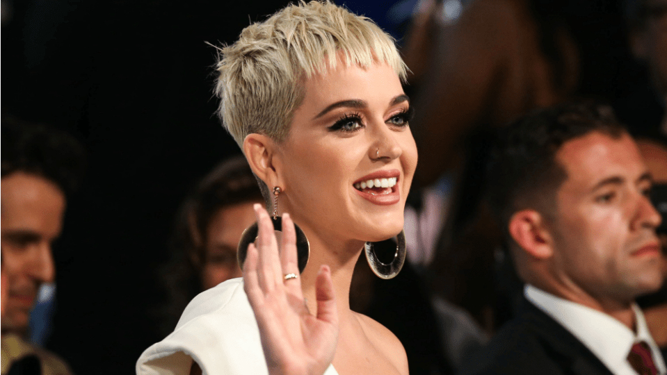 Stagehand Suing Katy Perry Claims She Lost Three Jobs Due to Tour ...