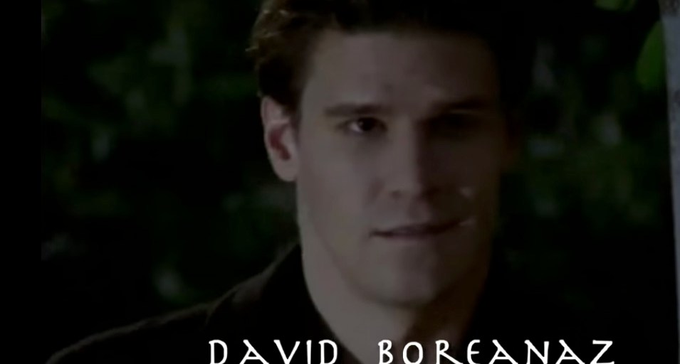 Buffy the Vampire Slayer Cast Looks Back at Buffy Season 1