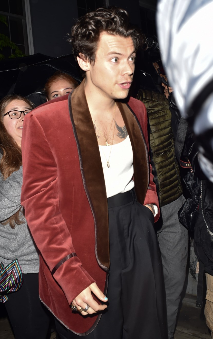 Harry Styles Pierced His Ear Before the Met Gala — See Photos