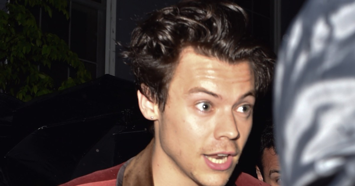 Harry Styles Pierced His Ear Before the Met Gala — See Photos