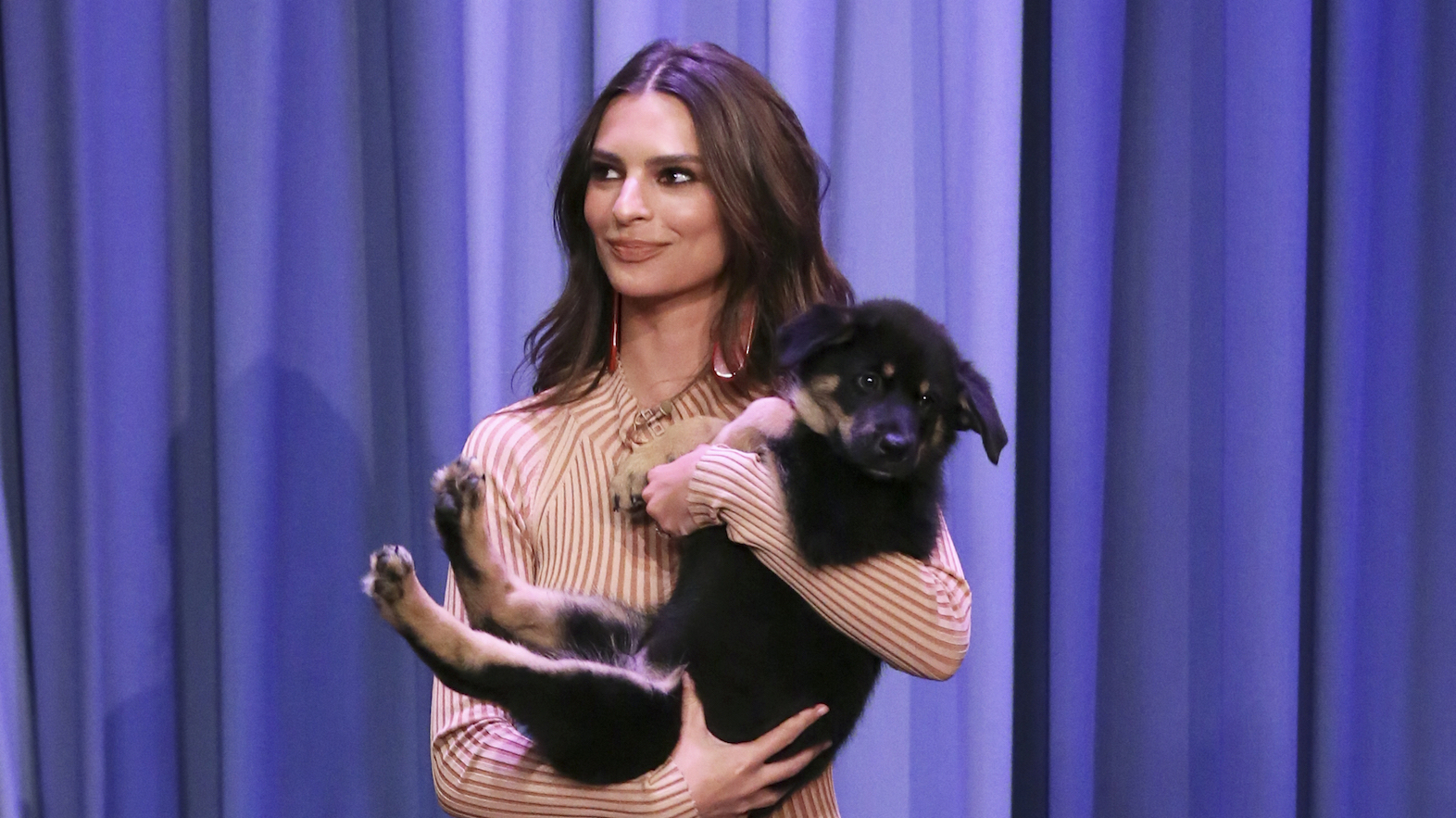 Has Emily Ratajkowski's Puppy Colombo Inspired Her to Have Kids? | Life ...