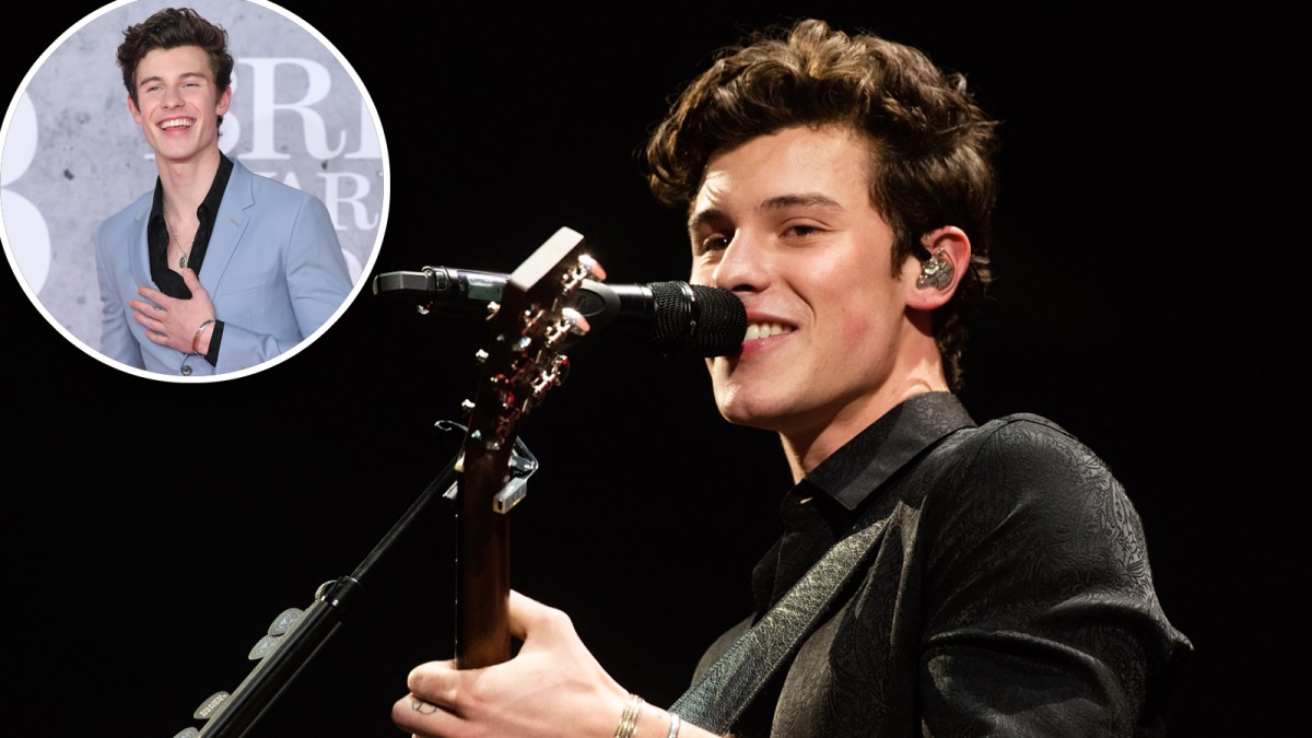 Shawn Mendes Transformation Gallery: Photos Then and Now