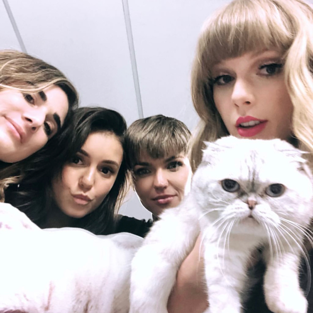 Guide To Taylor Swift s Cats Meredith Olivia And Benjamin Guide To Taylor Swift s Cats Meredith Olivia And Benjamin