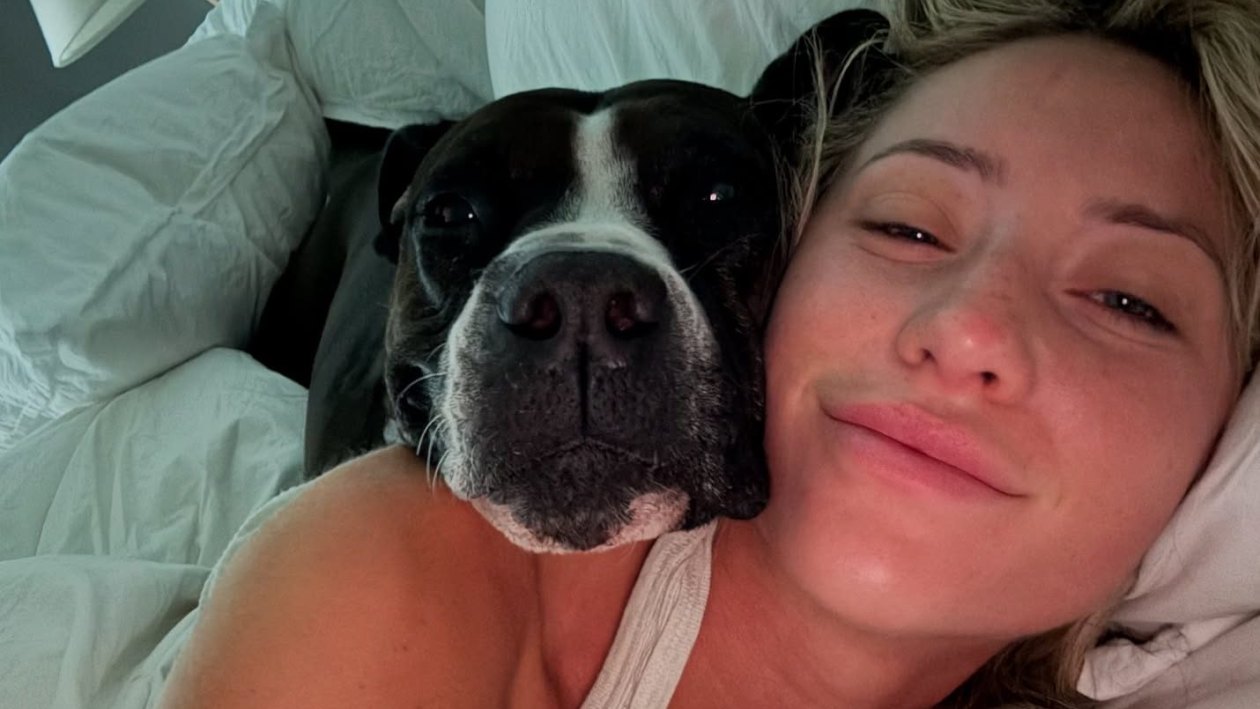 Influencer Alix Earle Shares Update on Foster Dog Asia's ACL Surgery ...