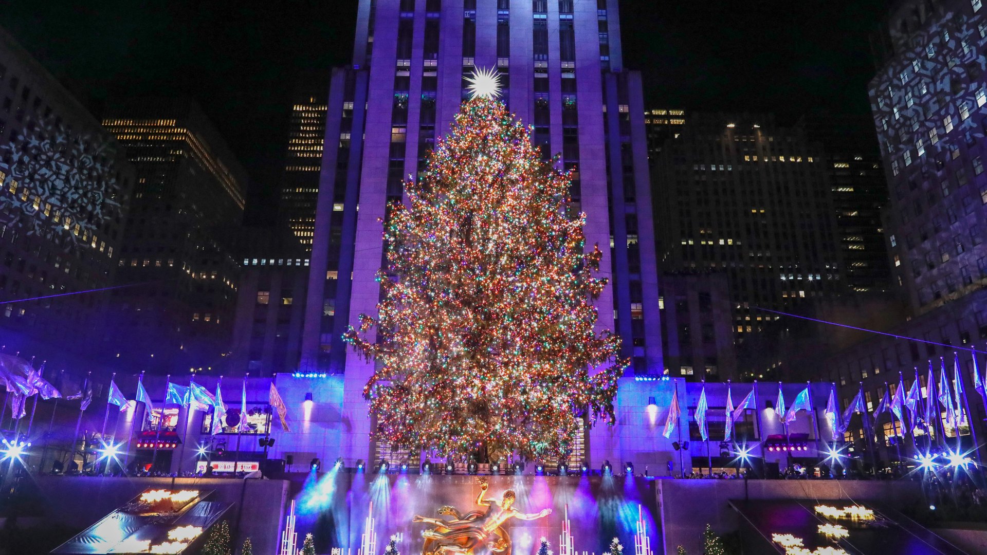 Widow Explains Why She Donated Her Tree to Rockefeller Center | Life ...